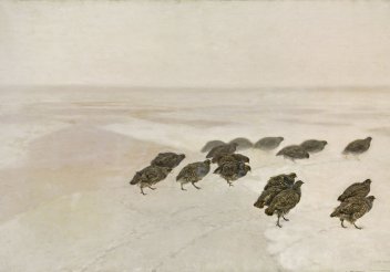 Wszystkie - Muzeum Narodowe w Krakowie